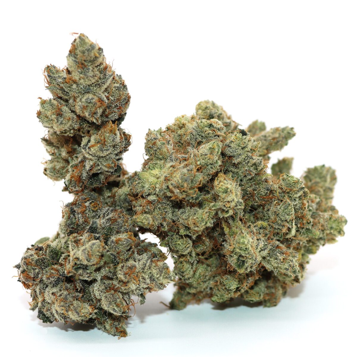South Africa's premium craft cannabis club - Dixie Jane