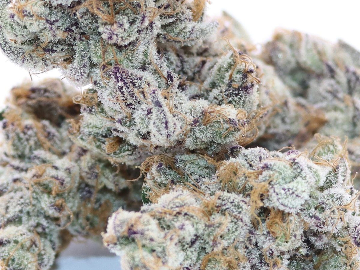 The Connoisseur’s Guide to Cannabis: Terpenes Explained - Dixie Jane